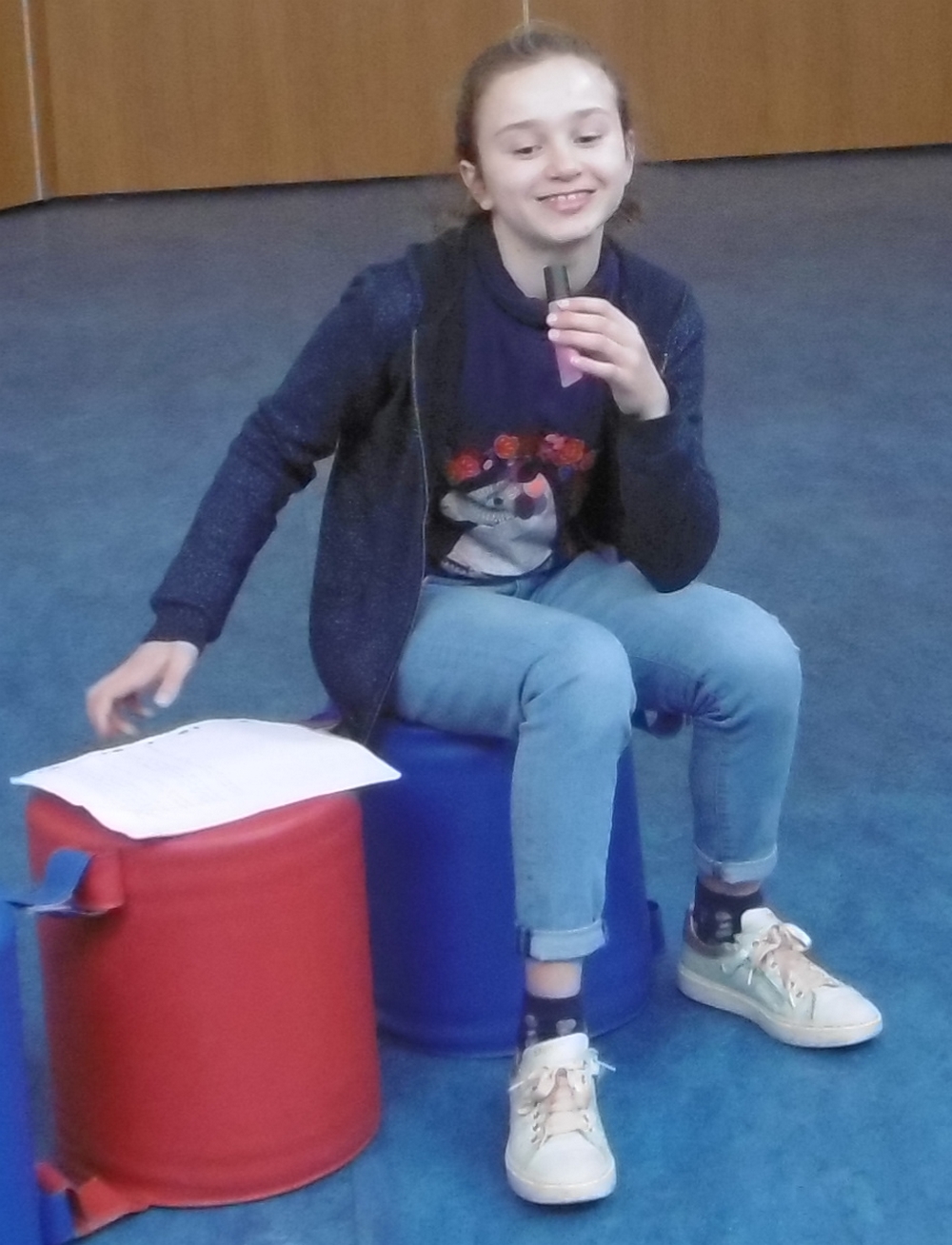 Les coups de coeur des 6èmes - Collège Sainte-Anne Plougastel